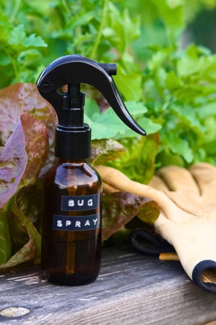 Homemade Essential Oil Bug Spray - For the Belly and Soul
